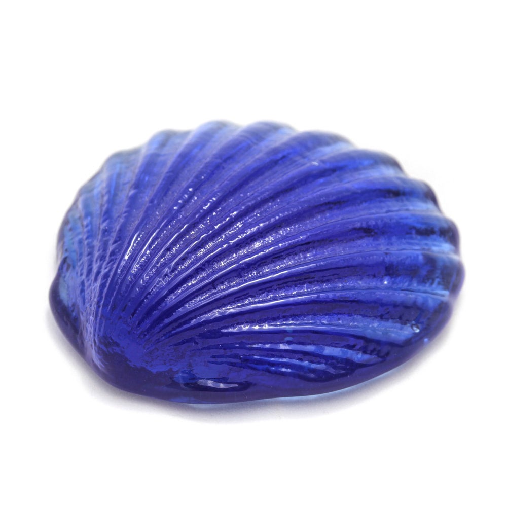 Mark Lauckner Glass Scallop Shell | ENVISION GALLERY & GIFTS